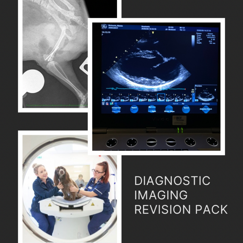Comprehensive OSCE Revision Pack for Veterinary Nurses