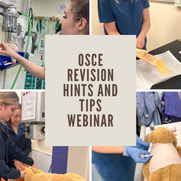 Comprehensive OSCE Revision Pack for Veterinary Nurses