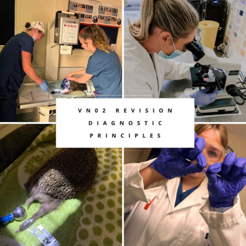 Comprehensive Revision for Veterinary Nurses
